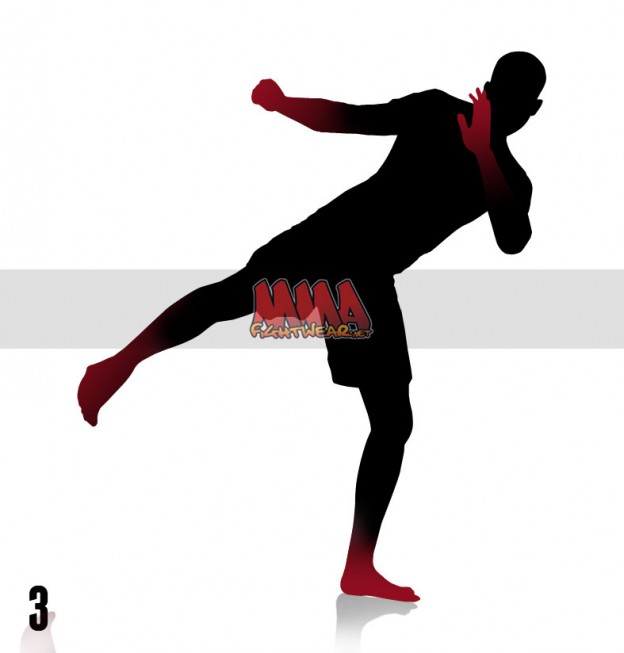 MMA Training Exercises - Roundhouse Kick Drill - MMAFightwear