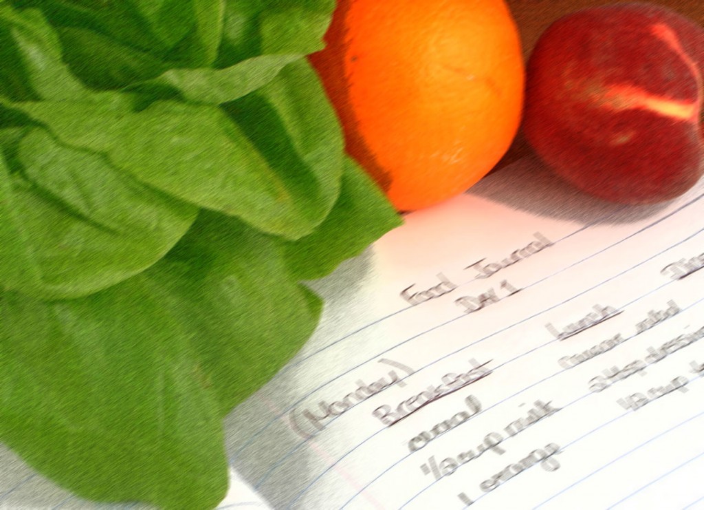 MMA Nutrition Basics - 5 Benefits of Diet Logs - MMAFightwear